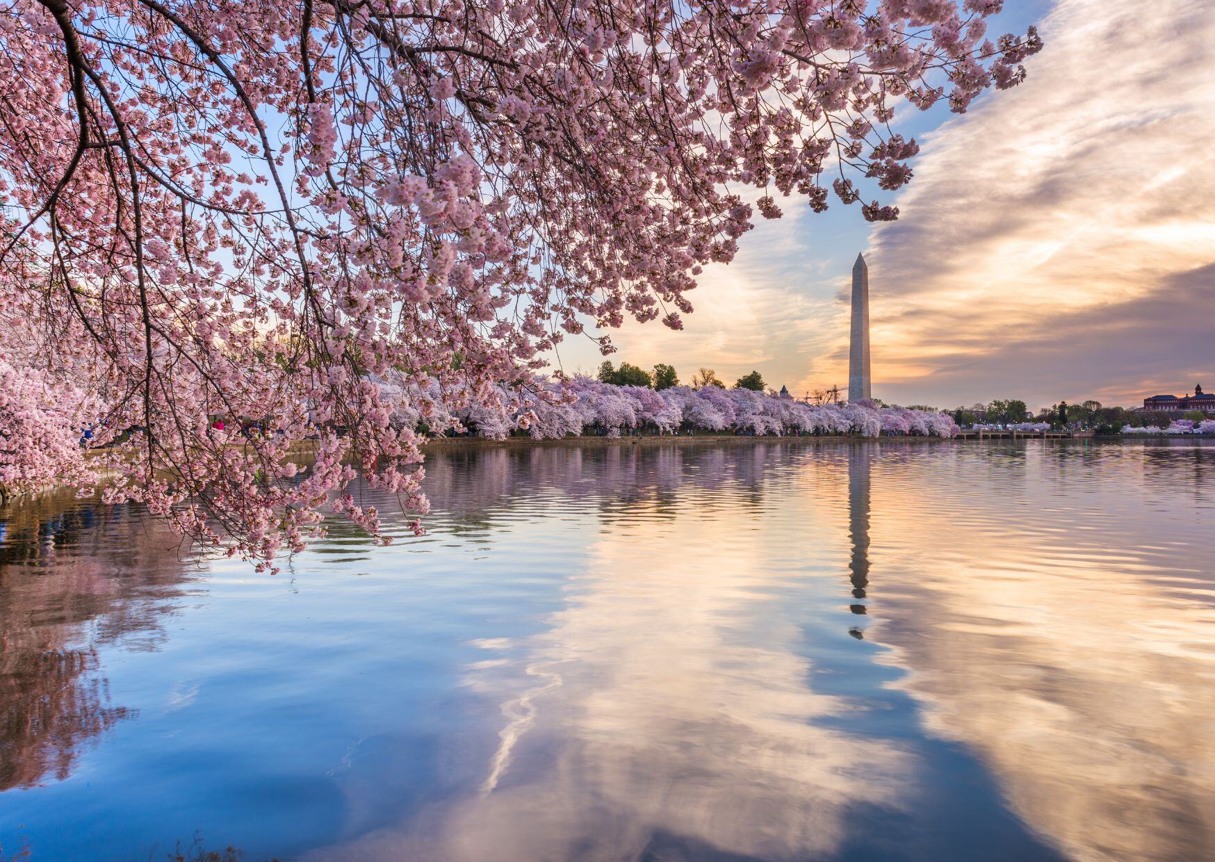 NOSSCR Conference | SimplyConvert